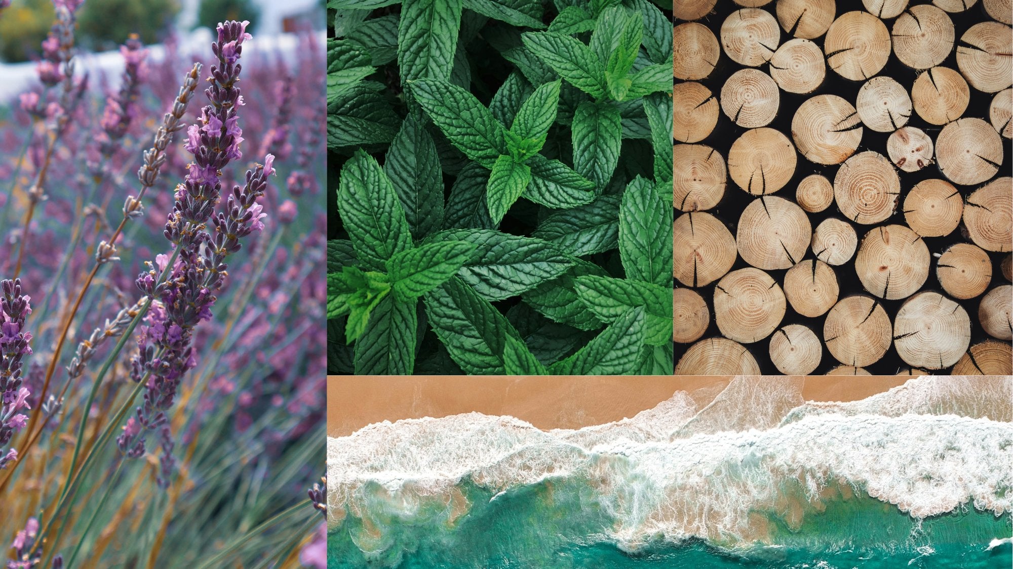 Scentfolio provides sensorial, aromatic, fragranced products.